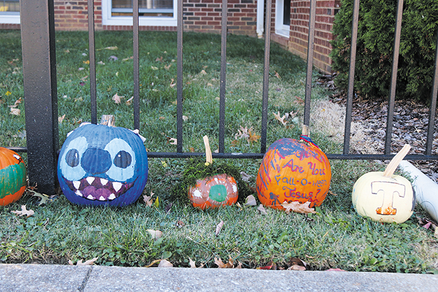 Ivy Hall pumpkins have become a fall tradition | Elizabethton Star