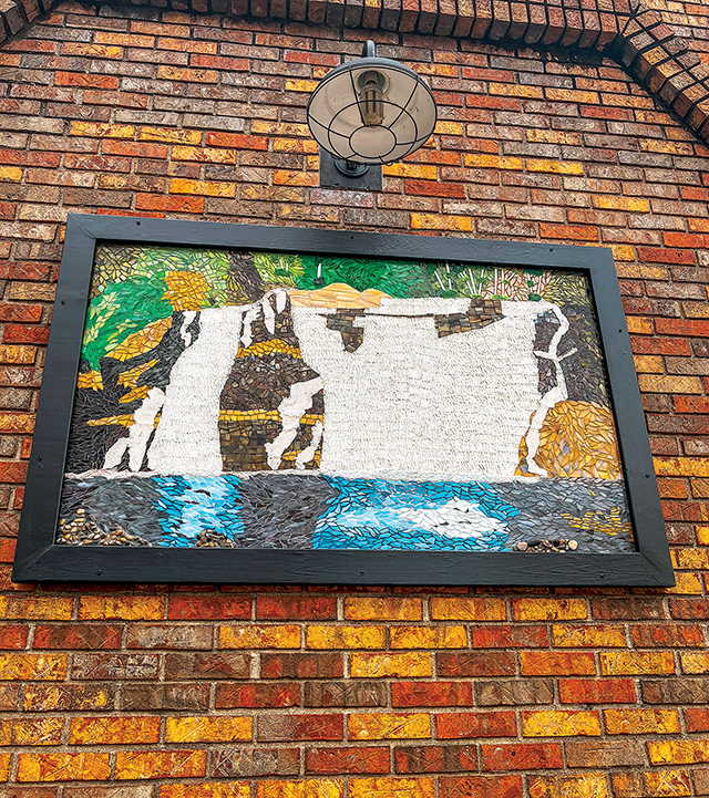 New downtown mosaics celebrate Carter County’s natural beauty ...